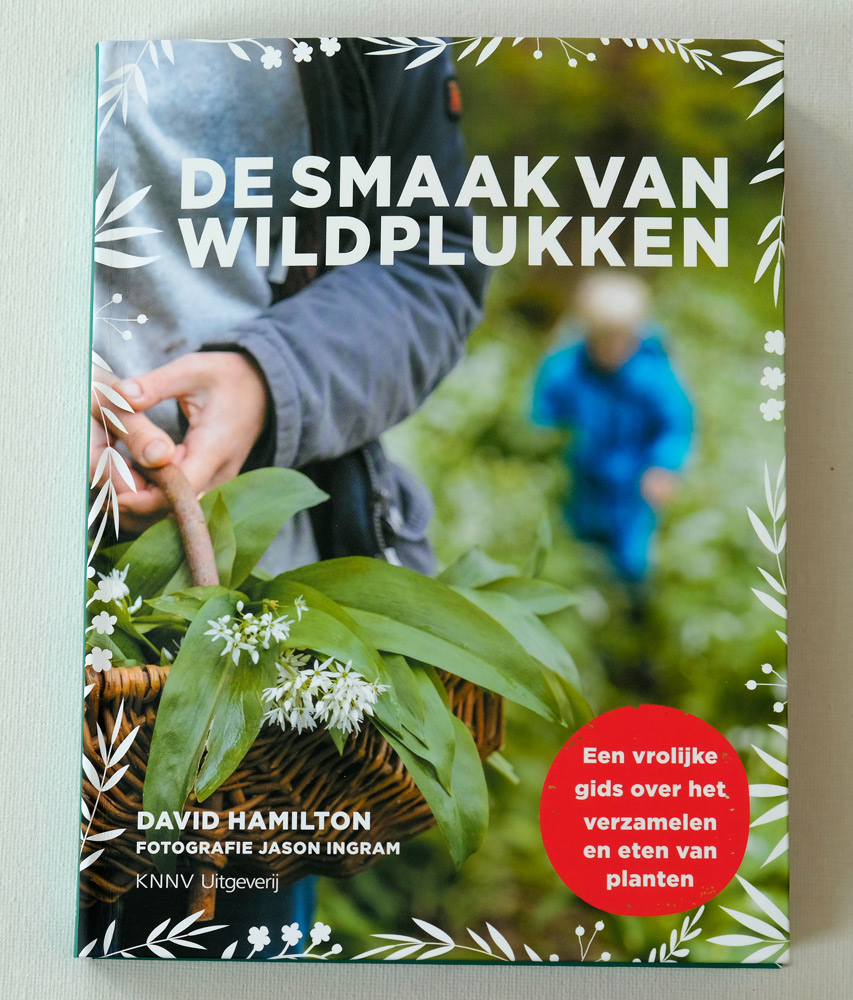 Eetbare wilde planten: op expeditie in Amsterdam - Best wel Bewust